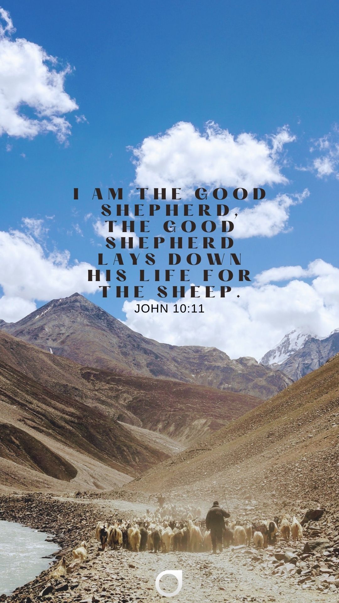 Following Jesus Together - Oasis Church